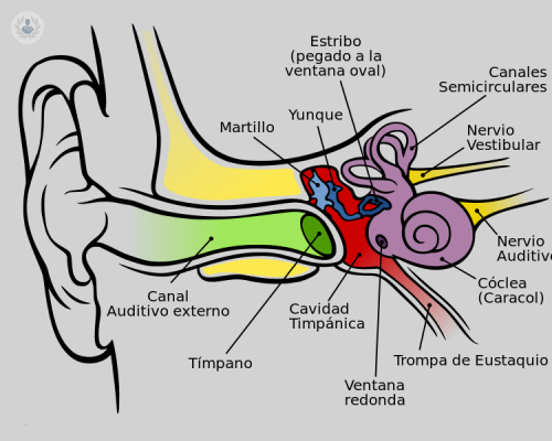 Perforación de tímpano: qué es, síntomas y tratamiento | Top Doctors